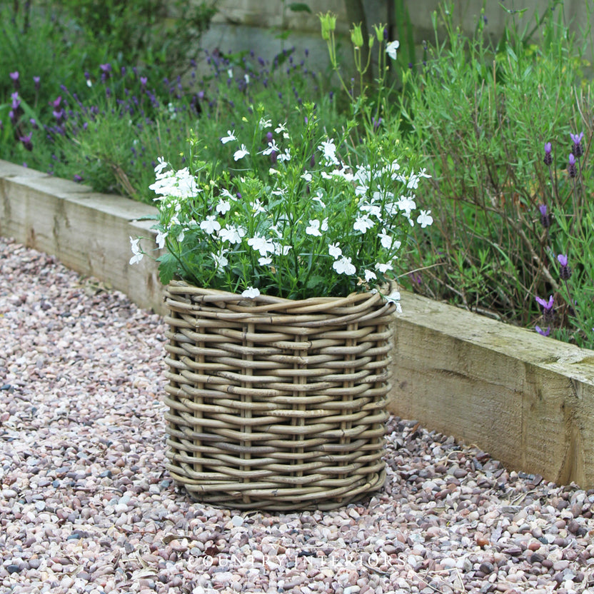 Round Rattan Planters - Three Sizes – Country Interiors