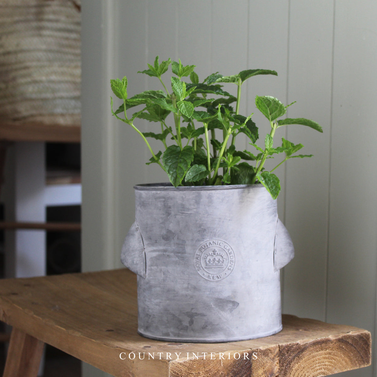 Kew Zinc Plant Pot - Round – Country Interiors