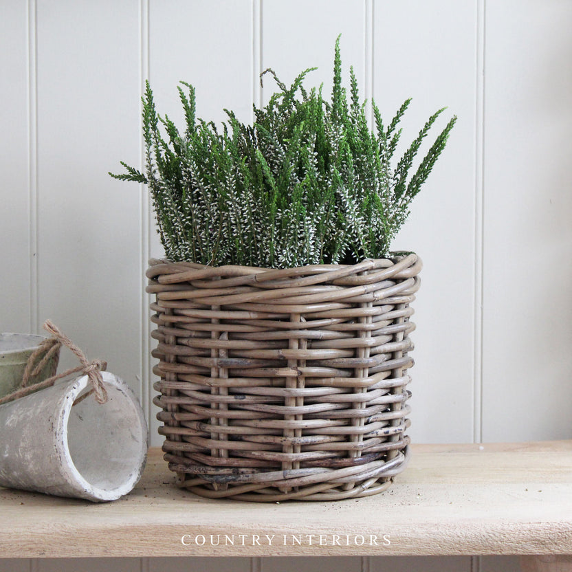 Round Rattan Planters - Three Sizes – Country Interiors